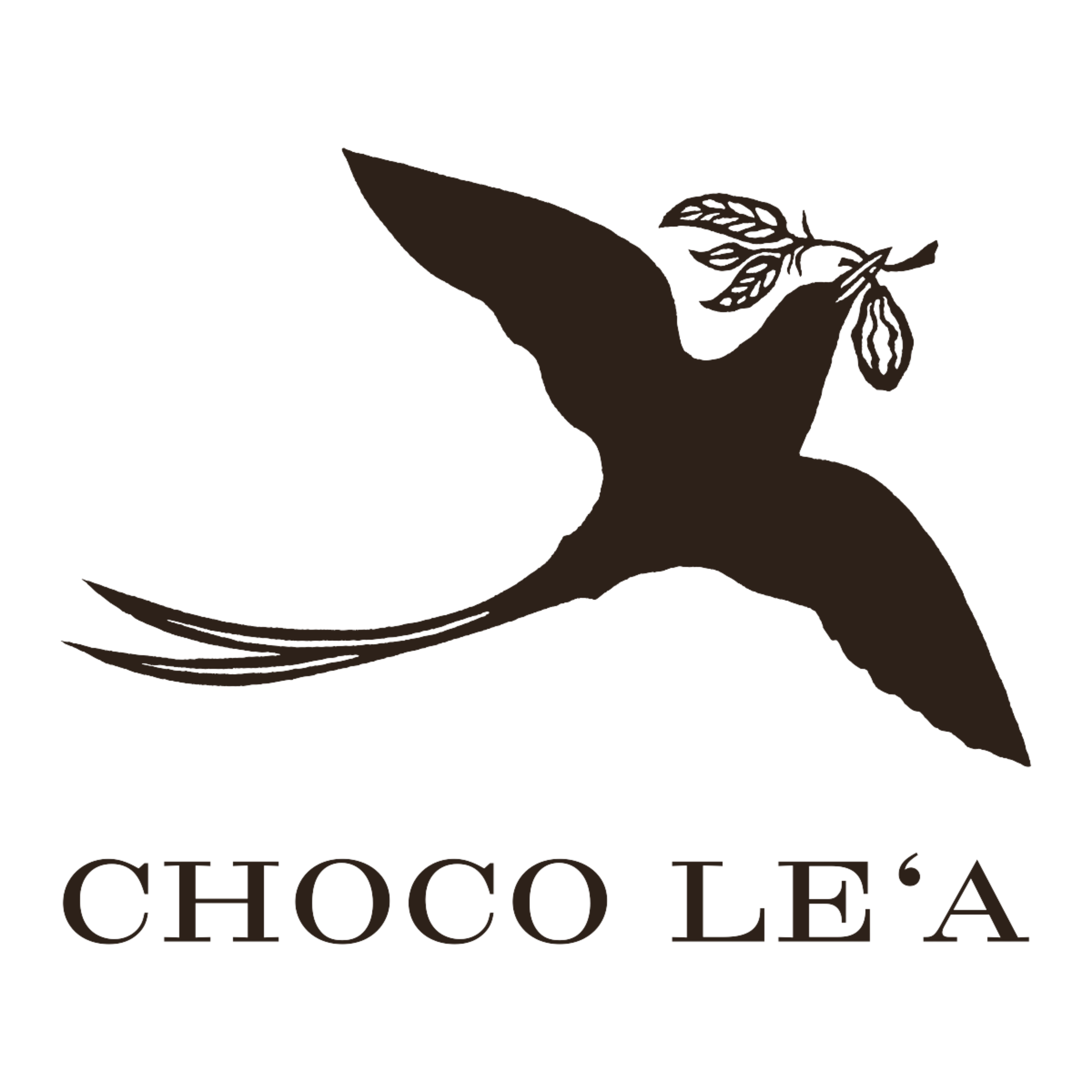 SHOP Artisan Dark Chocolates | Choco le‘a